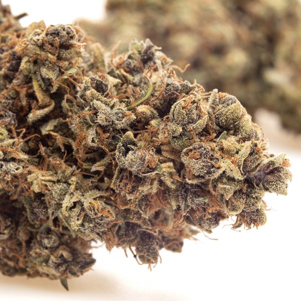 Pink Pineapple CBD : Fleur CBD 10% - Kilogrammes